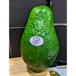 Avocados - All Aussie Farmers