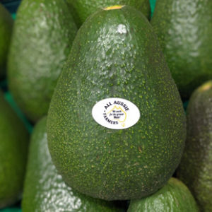 Avocados - All Aussie Farmers
